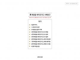 태양광 세이프가드 사례연구-1페이지