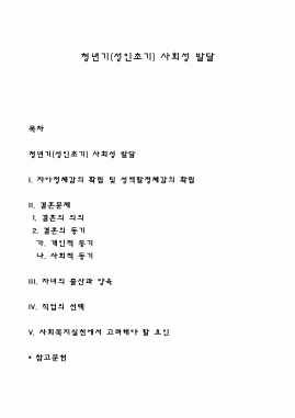 청년기(성인초기) 사회성 발달-1페이지