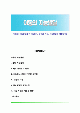 아동의 지능발달(유아지능검사 유전과 지능 지능발달의 영향요인)-1페이지