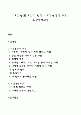 [호감형성] 호감의 법칙 - 호감형성의 조건 호감형성과정-1페이지