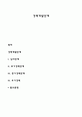 경력개발단계-1페이지