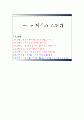 c-sec케이스 스터디-1페이지