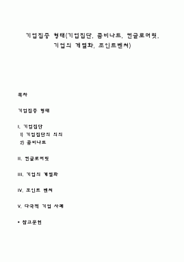 기업집중 형태(기업집단 콤비나트 컨글로머릿 기업의 게열화 조인트벤처)-1페이지