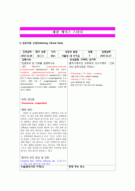 폐렴 케이스 스터디 (폐렴 폐렴 케이스 폐렴 간호과정 폐렴 CASE STUDY PNEUMONIA PNEUMONIA 케이스 PNEUMONIA 사례관리)-1페이지