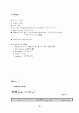 case - Lt Hemiplegia-1페이지