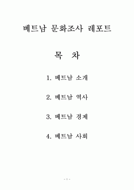 아시아지역연구 - 베트남 문화조사-1페이지