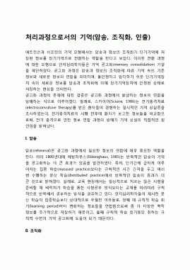 처리과정으로서의 기억(암송 조직화 인출)-1페이지