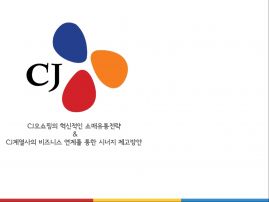 CJ오쇼핑 기업분석CJ오쇼핑 마케팅사례CJ오쇼핑 브랜드마케팅서비스마케팅글로벌경영사례분석-1페이지