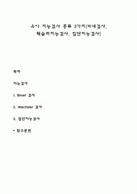 유아 지능검사 종류 3가지(비네검사 웩슬러지능검사 집단지능검사)-1페이지