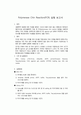 Polymerase Chin Reaction (PCR) 실험보고서-1페이지