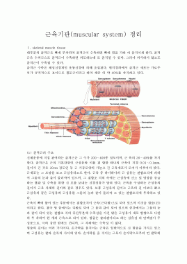 근육기관(muscular system) 정리-1페이지