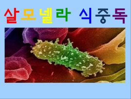 살모넬라 식중독식중독의 정의식중독이란식중독의 종류식중독 원인-1페이지