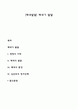 [태내발달] 태내기 발달-1페이지