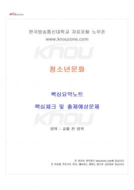 2019년 1학기 청소년문화 교재전범위 핵심요약노트-1페이지