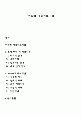 전략적 가족치료기법-1페이지
