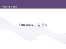 샘소나이트 마케팅,샘소나이트 글로벌경영,샘소나이트 경영사례,샘소나이트 시장분석,샘소나이트 SWOT 분석-1페이지