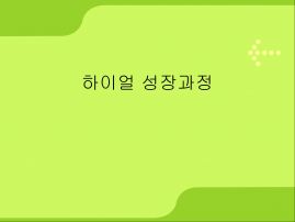 하이얼 코리아,하이얼 마케팅,하이얼 브랜드마케팅,하이얼 서비스마케팅,글로벌경영,사례분석-1페이지