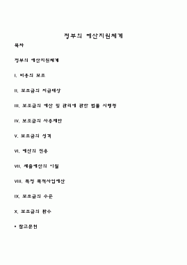 정부의 예산지원체계-1페이지