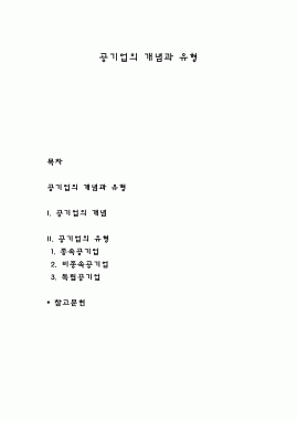 공기업의 개념과 유형 레포트-1페이지