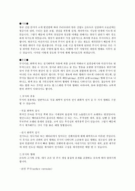 부식의 종류와 방지법-1페이지