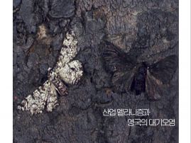 산업 멜라니즘영국의 대기오염-1페이지