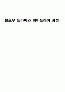 블로우 드라이와 헤어드라이 과정-1페이지