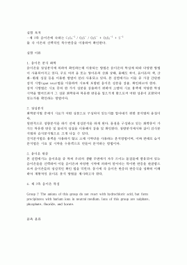 음이온 2족 분석 분석화학 자료-1페이지