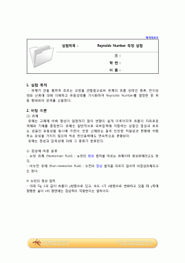 Reynolds Number 실험_예비레포트-1페이지
