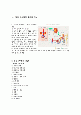 만성신부전 문헌고찰, 만성신부전 병태생리, 신장 문헌고찰,CRF,ESRD,-1페이지