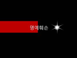명예훼손,명예훼손의개념,공인개념범주에대한제언-1페이지