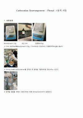 Carbocation Rearrangement  Phenyl 그룹의 이동 결과-1페이지