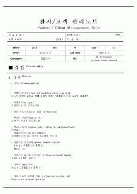 Lt hemiplegia 물리치료 SOAP 노트 환자 고객 관리노트-1페이지