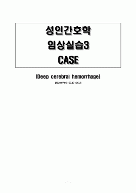 성인간호학임상실습_뇌내출혈-1페이지