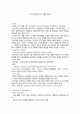 CCRT(전산화 인지 재활 치료)-1페이지