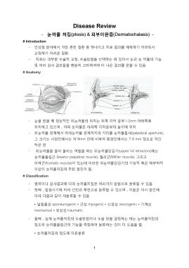 눈꺼풀 처짐(ptosis) & 피부이완증(Dermatochalasis)-1페이지