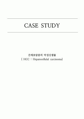 간암 HCC 케이스스터디-1페이지