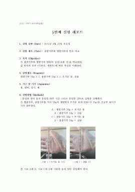 찹쌀가루와 멥쌀가루의 반죽 비교-1페이지