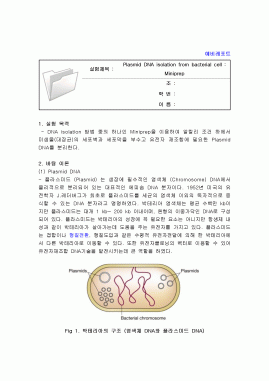 Plasmid DNA isolation from bacterial cell_Miniprep_예비레포트-1페이지