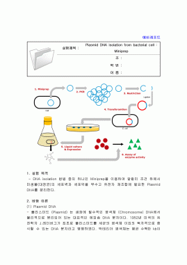 생물화학공학이론및 실험_ Miniprep_PCR_Restriction_Transformation_Liquid culture_Enzyme activity 전 실험 과정 통합 이론_ 예비레포트-1페이지