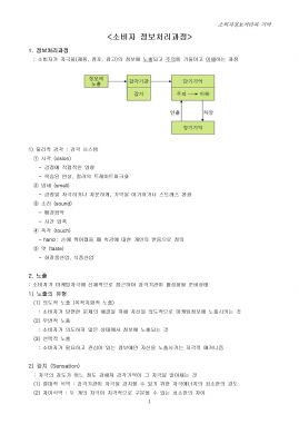 소비자정보처리와 기억-1페이지