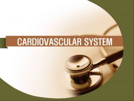[해부학] 심혈 관계(Cardiovascular System) 용어 정의 및 분석-1페이지