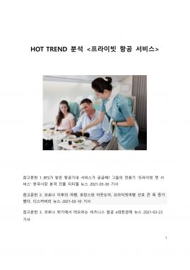 HOT TREND 분석_프라이빗 항공 서비스-1페이지
