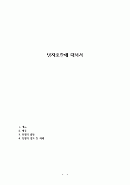 병자호란에 대해서-1페이지