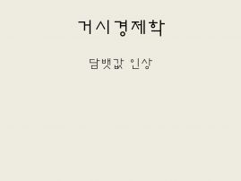 담뱃값 인상,사회적 이슈화,담뱃값 인상 흡연율,흡연율 감소,금연을 유도-1페이지
