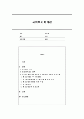 청소년 복지 주요 대상에게 제공하는 구체적인 정책과 실천내용을 서술하시오.-1페이지