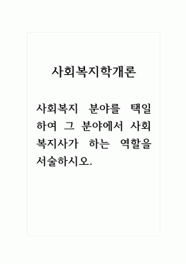 사회복지학개론_사회복지 분야를 택일하여 그 분야에서 사회복지사가 하는 역할을 서술하시오-1페이지