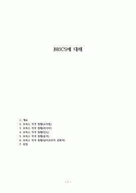 BRICS에 대해 레포트 자료-1페이지
