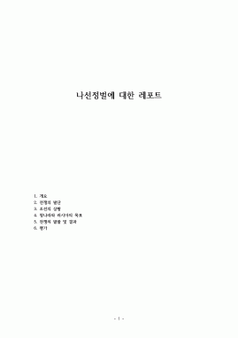 나선정벌에 대한 레포트-1페이지