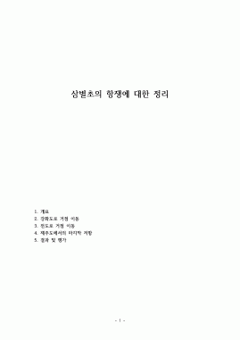 삼별초의 항쟁에 대한 정리-1페이지