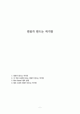 전류가 만드는 자기장-1페이지